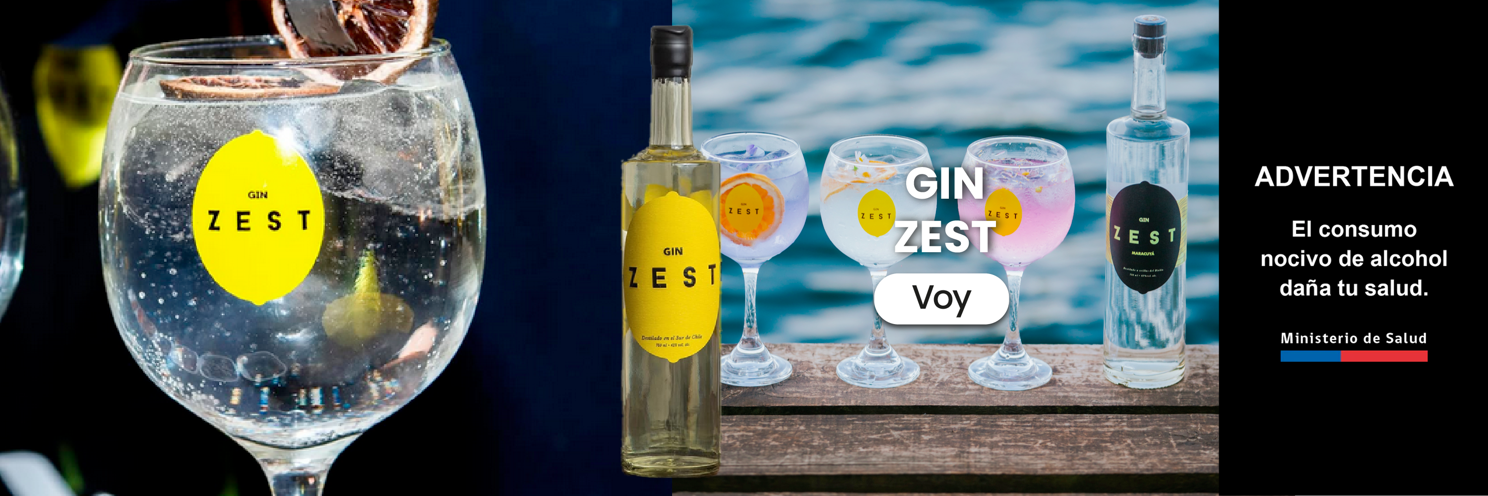 Licores Chilenos | Gin, Pisco, Vermut y Más | Portal Voy