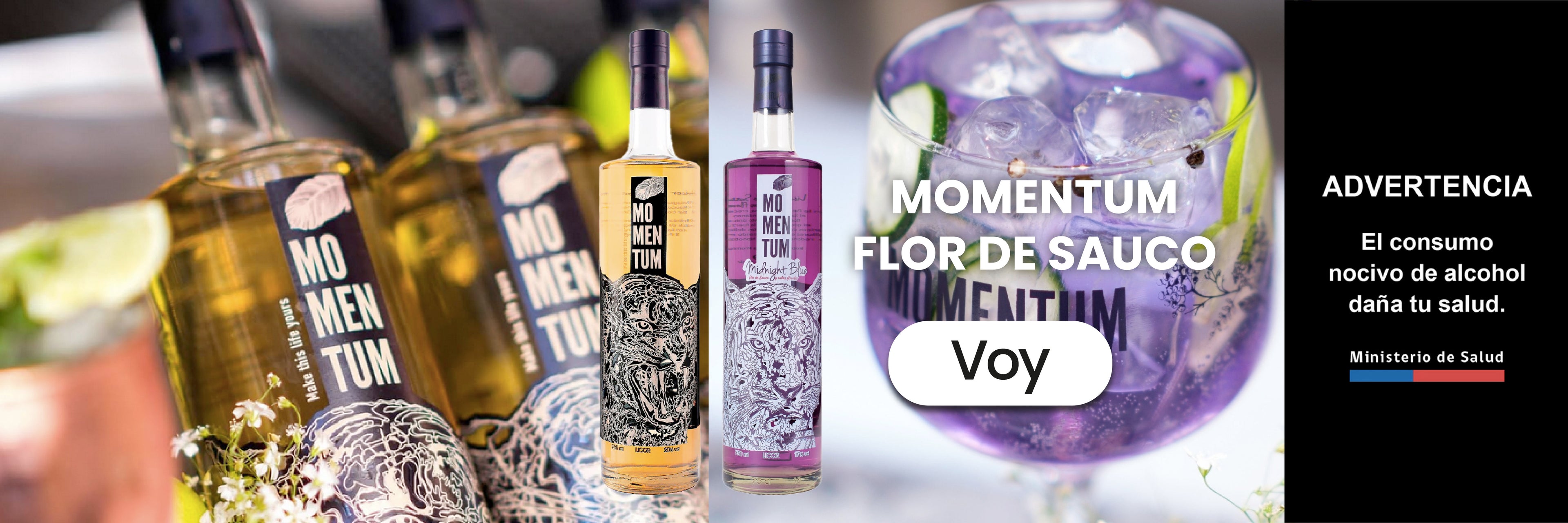 Licores Chilenos | Gin, Pisco, Vermut y Más | Portal Voy