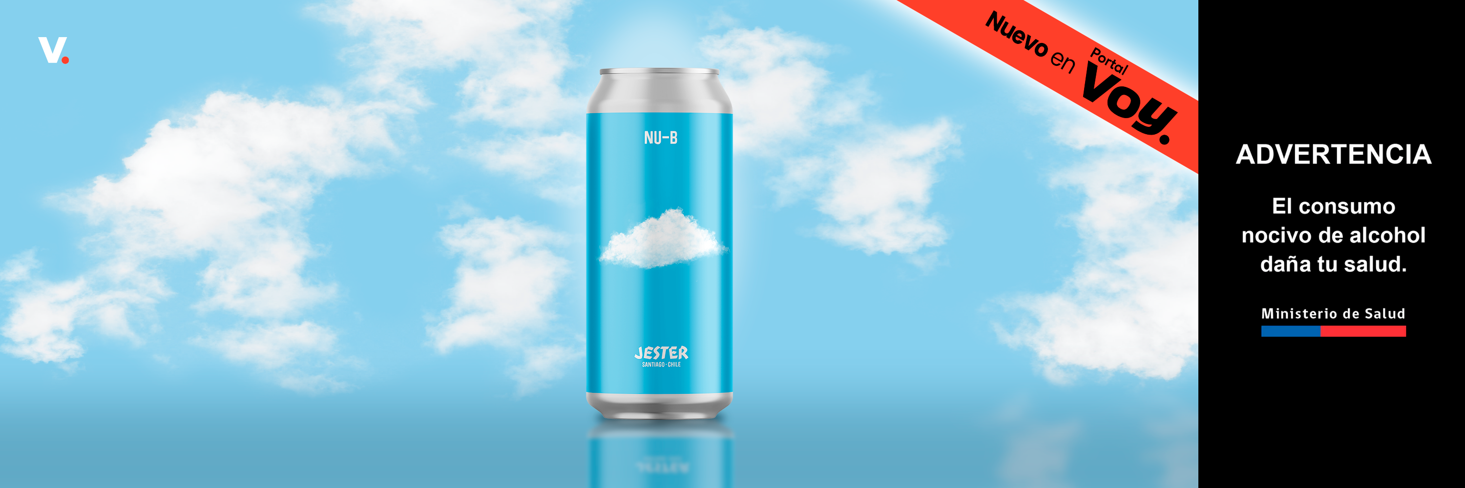 Cerveza Artesanal Chilena | Compra Online | Portal Voy